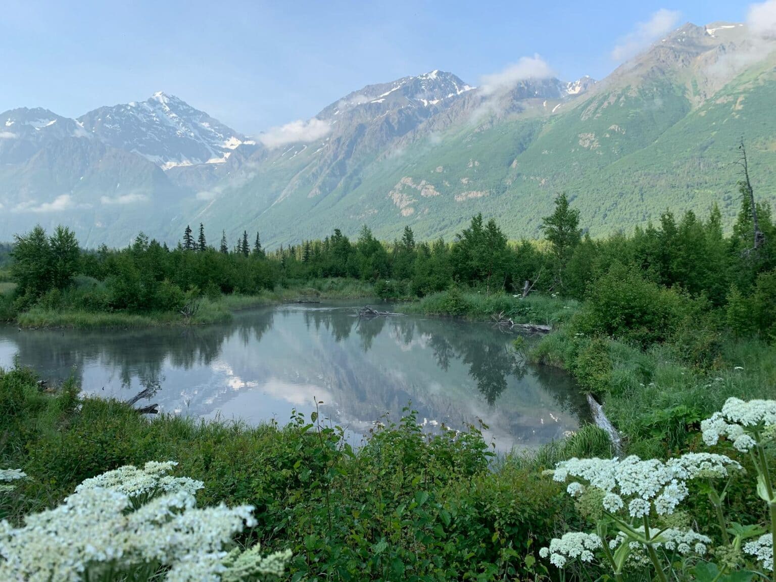 How to Avoid Mosquitos in Alaska: Tips for Staying Bite-Free - Jet ...