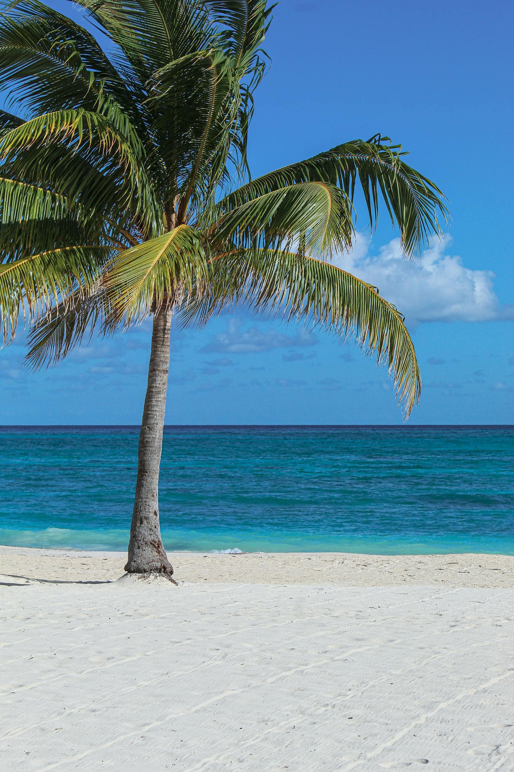 Montego Bay Travel Guide: Everything You Need to Know - Jet Setting ...