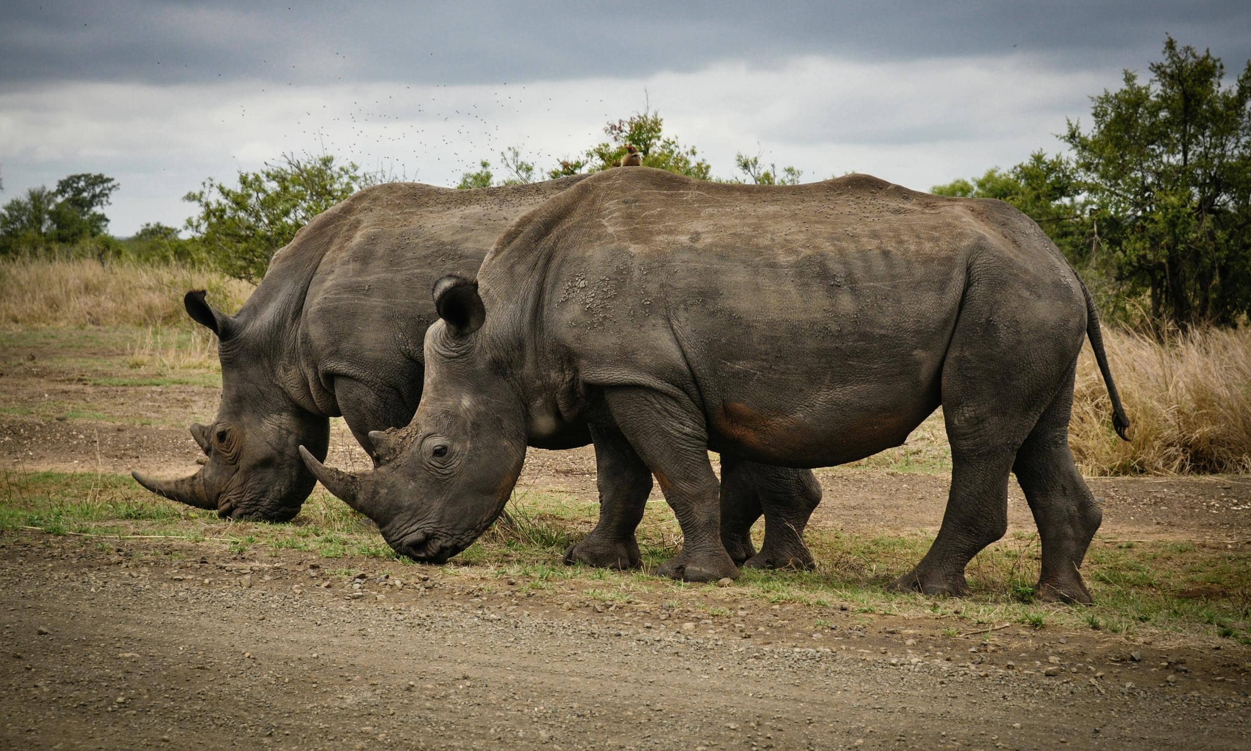 South Africa Itinerary: A Complete 10-Day Itinerary